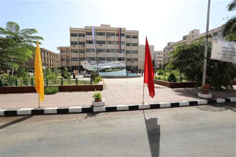 وليد أحمد عميدًا لطب الأسنان ونادية جعفر للتربية الرياضية بنات بجامعة