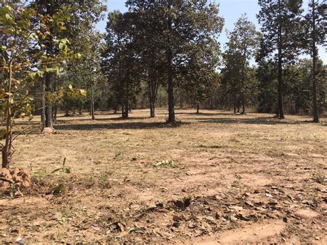 ขายที่ดินดอยสะเก็ดจำนวน 21 ไร่ 1 งาน 75 ตารางวา ที่ดินร้อยแปด คอม