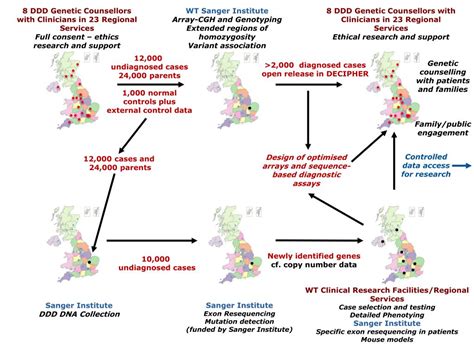 Ppt Array Cgh Diagnosing Developmental Disorders Powerpoint Presentation Id