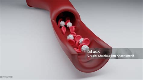 혈류의 적혈구와 백혈구 의학 및 생물학 과학 연구 정맥 또는 동맥의 적혈구는 살아있는 유기체 내부 흐름seen 마이크로 벡터는 예시한다 0명에 대한 스톡 사진 및 기타