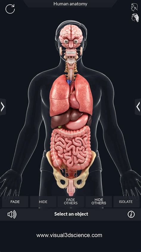 Android 용 My Organs Anatomy Apk 다운로드