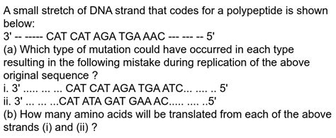 a small stretch of dna strand that codes for a polypeptide is show