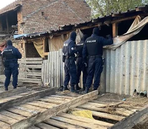 Разбиха две наркооранжерии в Плевенско снимки