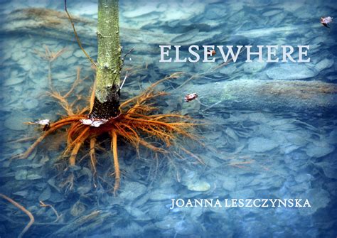 Joanna Leszczynska Aps Books Aps Publications