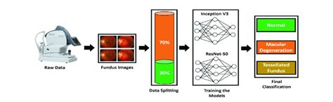 proposed framework to classify fundus images a domain specific image
