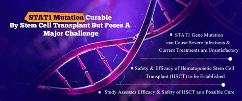 Hematopoietic Stem Cell Transplant For Stat1 Gene Mutation Promising