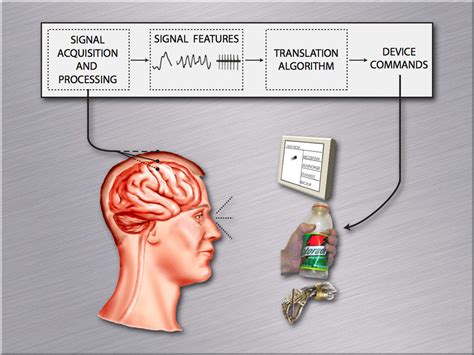 Albany To Share Brain Mapping Technology