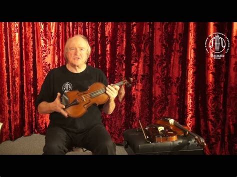 Gliga Violins Animato Strings Specialists For Violin Viola Cello