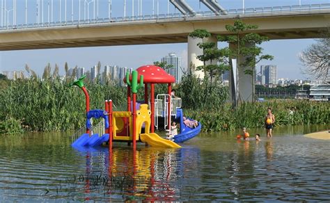 公园被洪水淹没 市民撒网捕鱼 搜狐大视野 搜狐新闻