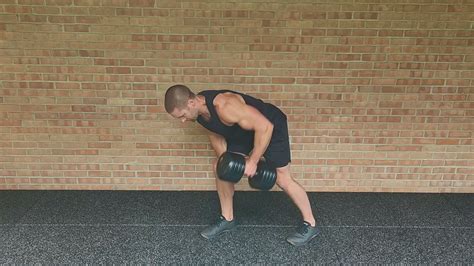 Unilateral Dumbbell Row Youtube