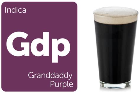 The Dangers Of Drinking Guinness Beer AC DC Beverage