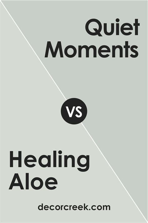 Healing Aloe Bm 1562 Paint Color By Benjamin Moore Artofit