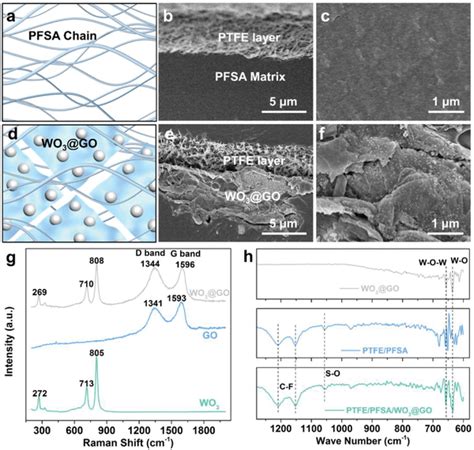 The Structure And Morphology Of Membranes Schematic Illustration Of A