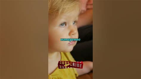 Дельфины Удивительный мир общения Youtube