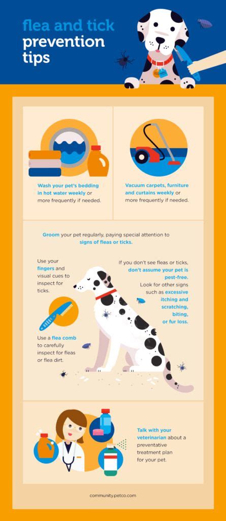 25 Flea And Tick Educational Information Ideas Flea And Tick Fleas Ticks
