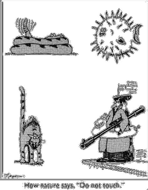 Far Side Natures Warning Signs Album On Imgur