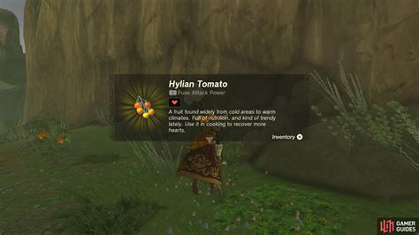 Hylian Tomato The Legend Of Zelda Tears Of The Kingdom Database