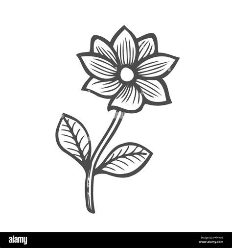 Lista 105 Foto Dibujos De Rosas En Blanco Y Negro Mirada Tensa