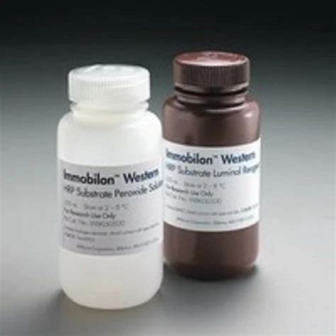 Western Chemiluminescent Hrp Substrate Kit Maxcell Systems Private