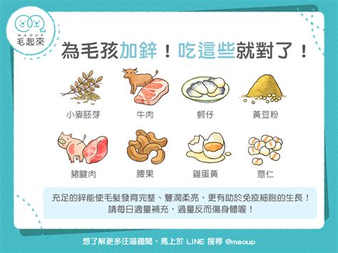 【毛孩食材圖鑑】為毛孩加鋅！吃這些就對了！ 毛起來 Maoup