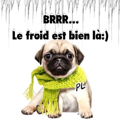  Froid Humour Humourve