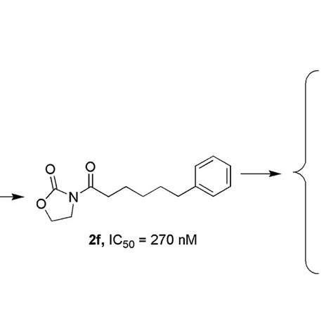 Design Strategy For Oxazolidone Derivatives As Naaa Inhibitors