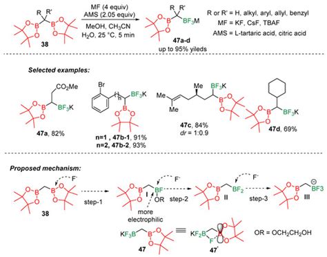 Molecules Special Issue New Insights In Diversity Oriented Synthesis