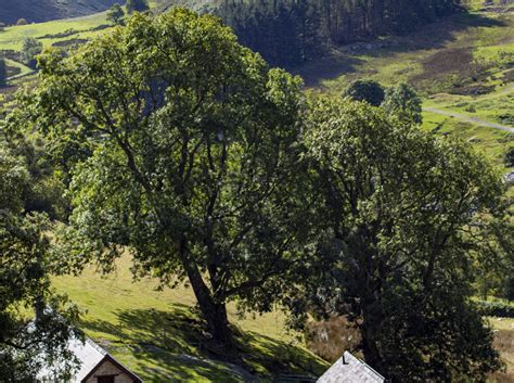 Cwm Clyd Bunkhouse Elan Valley