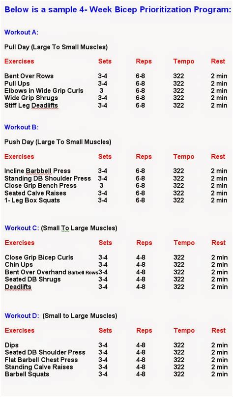 Best Bicep Workouts For Size ~ Multiple Fitness