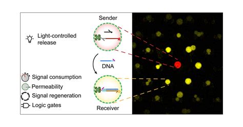 Sender And Receiver