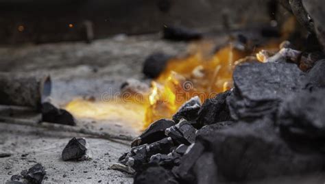 Torch lighting coal stock image. Image of night, summer - 257726171