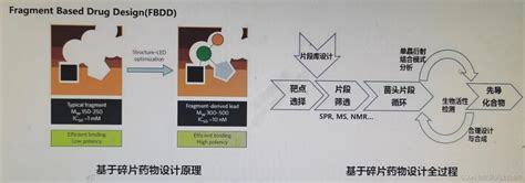 Cadd课程学习（1） 药物设计基础知识 Csdn博客