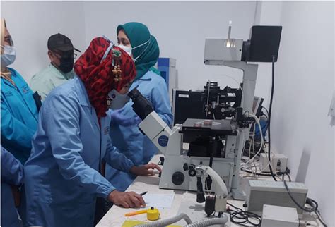 Workshop Confocal Laser Scanning Advanced Fluorescence Imaging Technicques Using Clsm