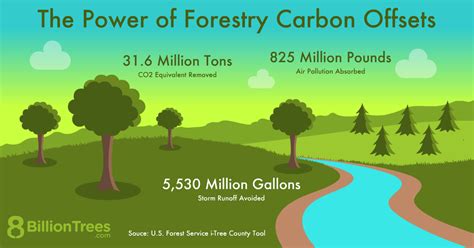 Forest Carbon Offset Projects Challenges And Opportunities