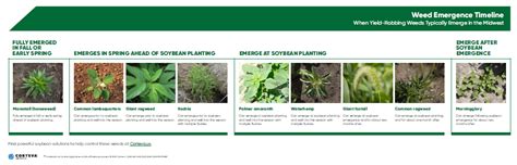What Should Weed Management Records Consist Of The More You Grow