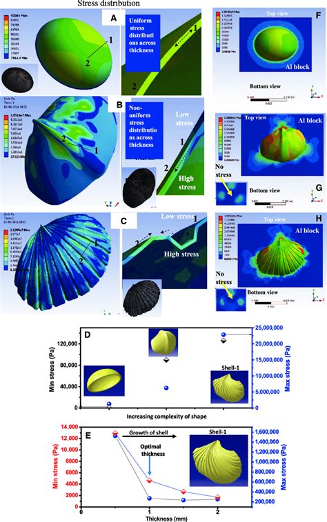 Behavior Of Shell 1 A To C Stress Distribution In A Hemispherical Download Scientific