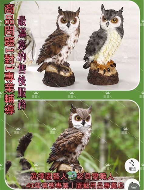 【園藝人】貓頭鷹 驅鳥 動物模型 禮物 仿真貓 花園 擺飾 盆景 庭院 庭院擺飾 Owl 假鳥 仿真貓頭鷹 貓頭鷹模型 蝦皮購物