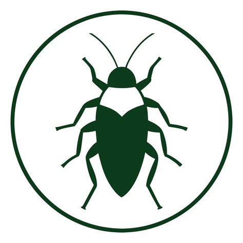 Aesthetic Cockroach Artwork With Details 53060028 Vector Art At Vecteezy