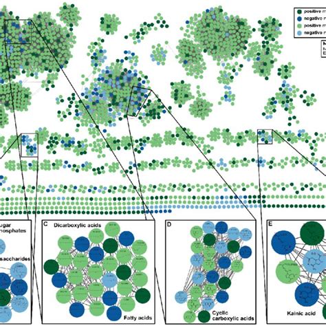 Schematic Workflow Of 1d And 2d Lc Msms Analysis A 1d Lc Msms