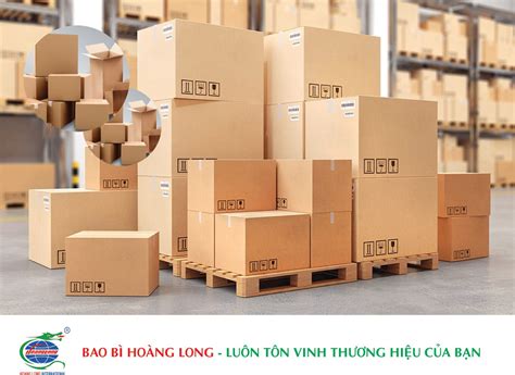 Top 5 Loại Keo Dán Thùng Carton Phổ Biến Nhất Hiện Nay
