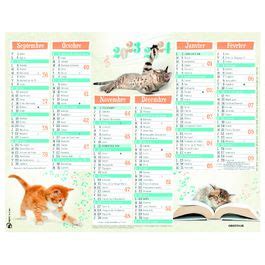 Calendrier Chatons 7 Mois Par Face 21 X 26 5 Cm Oberthur Pas Cher