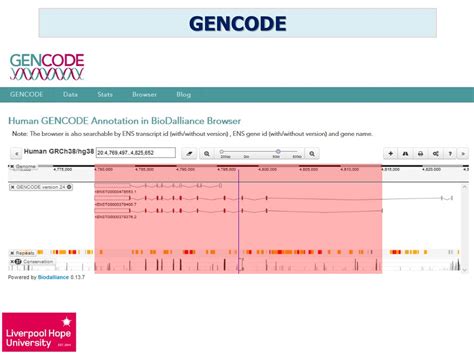 Genome Biology And Applied Bioinformatics Mehmet Tevfik Dorak Md Phd