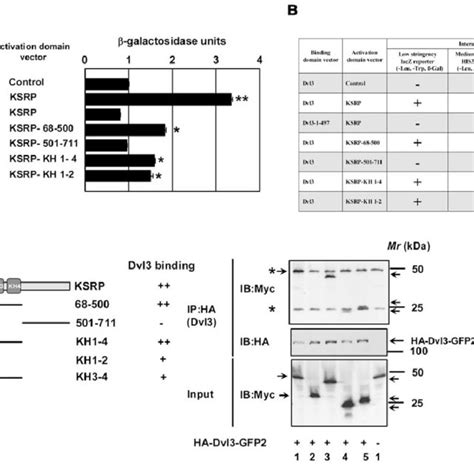 List Of Proteins Identified By Ltq Mass Spectrometry Download