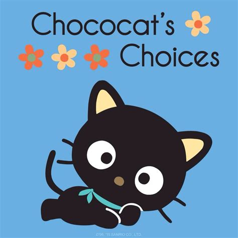 Choco Cat Sanrio Characters Hello Kitty Kitty
