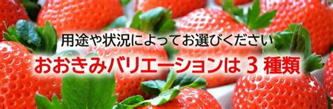 【楽天市場】大粒 いちご【 宮崎県産 おおきみ 超特大サイズ 9粒 】380g以上1粒あたり40g以上【日付指定不可】熨斗 メッセージ