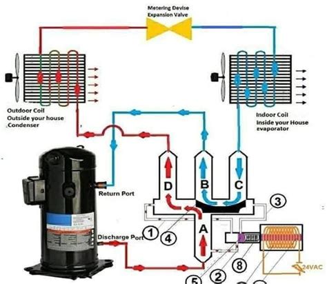 Ancient In 1967 A Young Sigourney Weaver Appeared In Her High School