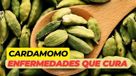 Propiedades De La Infusión De Cardamomo Vida Bio Tu Web Sobre Nutrición