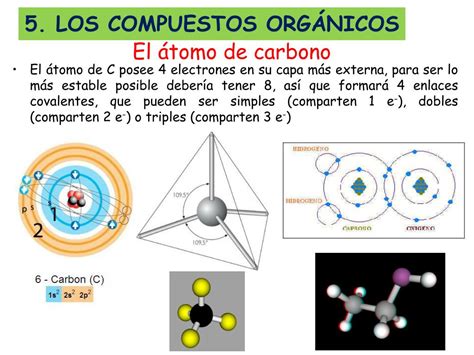El Atomo De Carbono Quimica Organica Otosection