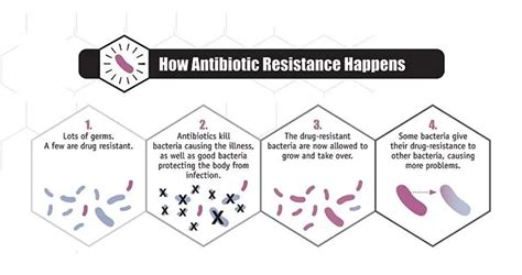 What Are Superbugs Everything You Need To Know About Antibiotic Resistance