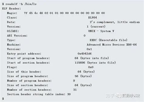 Bes二进制查看工具掌握这10种方法帮你快速在linux上分析二进制文件 Csdn博客